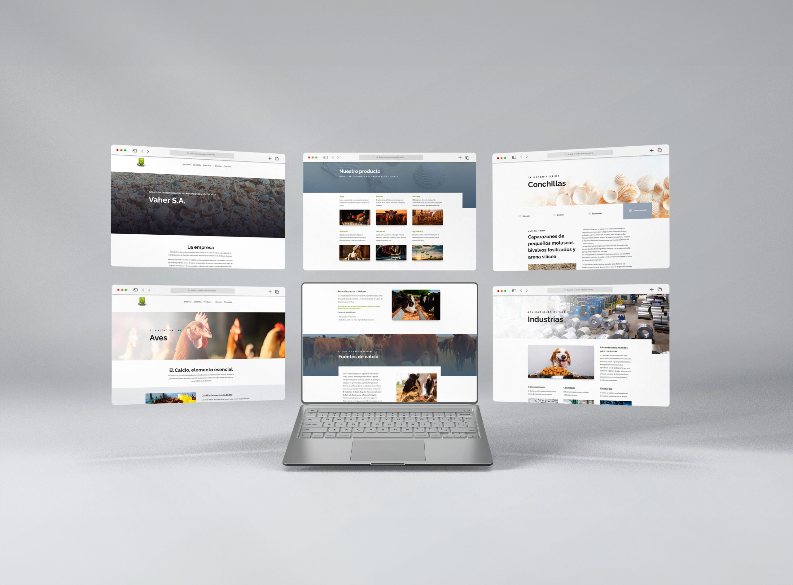 Portfolio | Buscatrazos